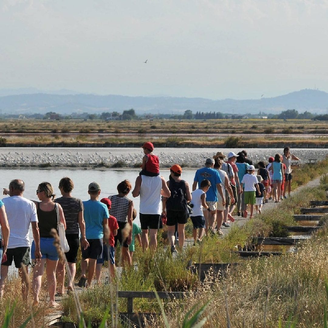 Salt pan walk along the path of the nests